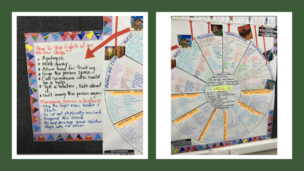 Te Ara Whakamana on Display | Te Ara Whakamana: Mana Enhancement