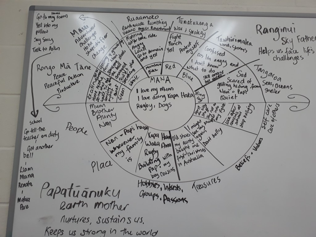 Te Ara Whakamana Case Studies | Te Ara Whakamana: Mana Enhancement