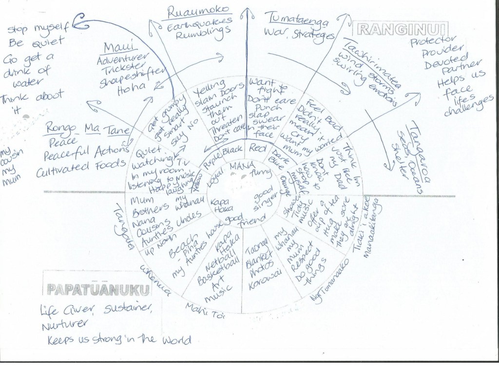 Te Ara Whakamana Case Studies | Te Ara Whakamana: Mana Enhancement