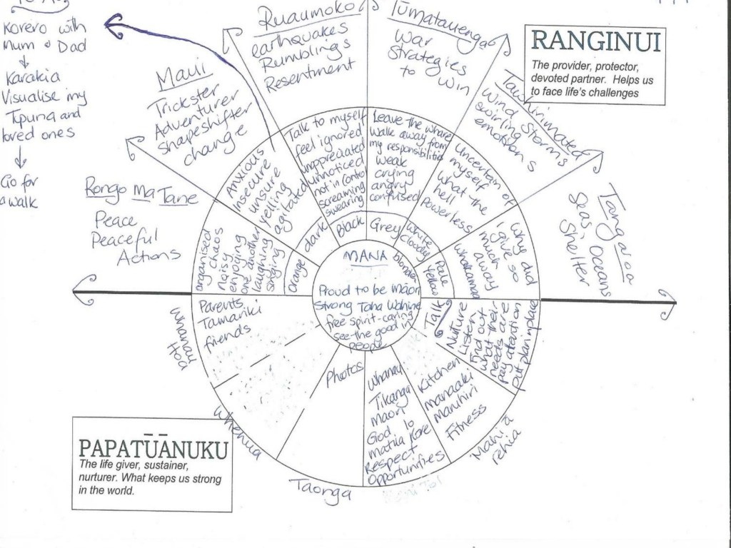 Te Ara Whakamana Case Studies | Te Ara Whakamana: Mana Enhancement