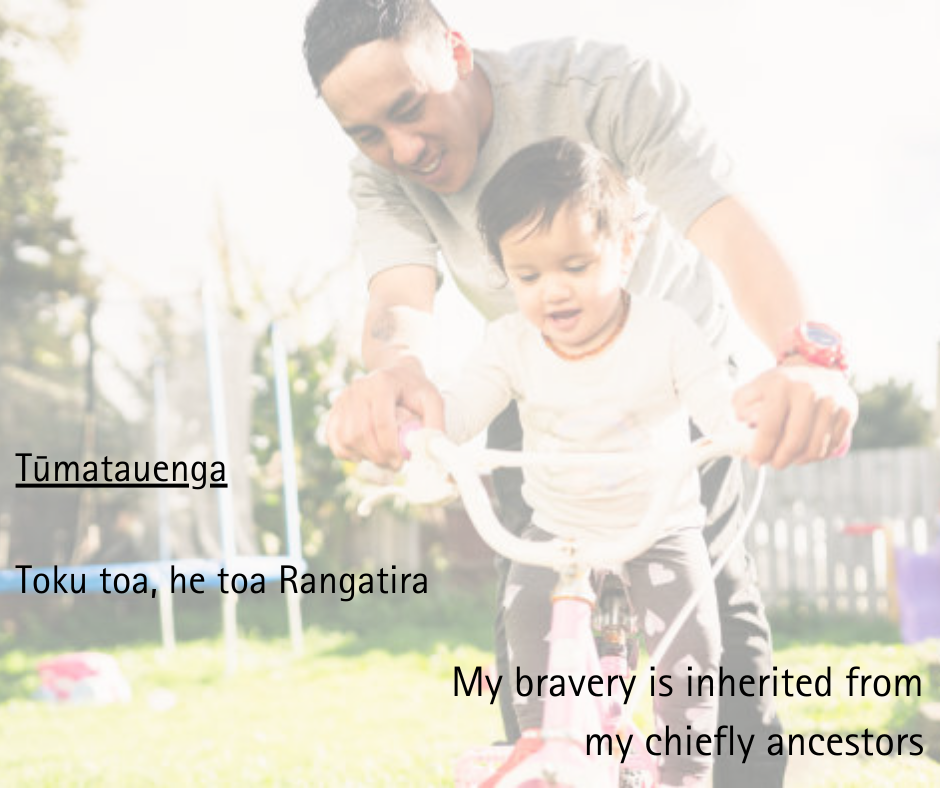 Whakataukī and Whakatauākī | Te Ara Whakamana: Mana Enhancement